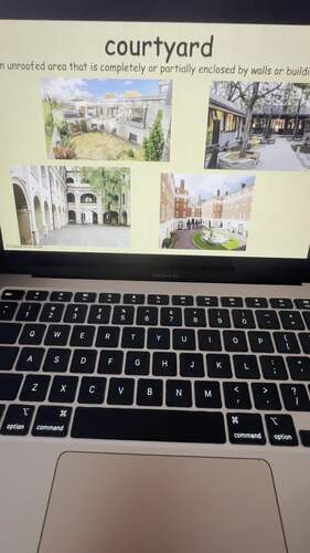 Suri's Wall- All Activities/Lesson Plan, PowerPoints + Worksheets by ...