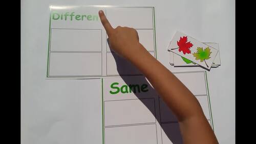 Same and Different Sorting Activities Special Education Autism ABA Therapy