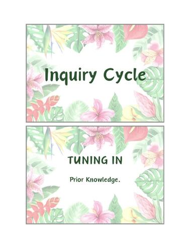 IB PYP Inquiry Cycle Poster Set Classroom Display Decoration – Jungle Theme