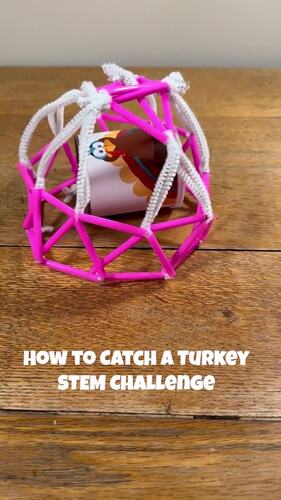 How to Catch a Turkey Activity Thanksgiving STEM Trap Challenge Middle ...