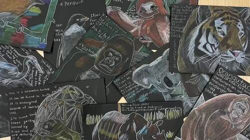 JUDY CHICAGO ENDANGERED ANIMAL ART PROJECT & ACTIVITY BOOK WITH LESSON ...