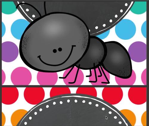 Alphabet Posters {Chalkboard and Color Pop Theme} by dana carolyn