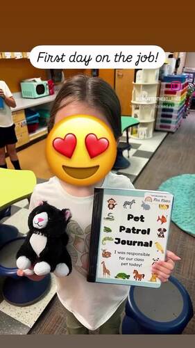 5-Day SEL Responsibility Mini Unit for Elementary: Activities & Lessons