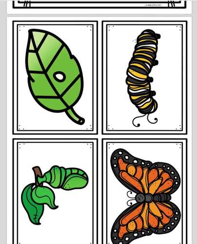 Las mariposas- Recurso digital y para imprimir by La Maestra Pati Bilingue