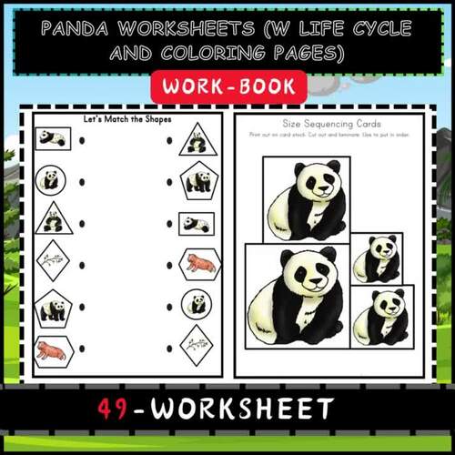 Printable Panda Worksheets (W Life Cycle And Coloring Pages) | TPT