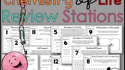 Chemistry of Life (Biochemistry) Stations Review or Assessment Unit ...