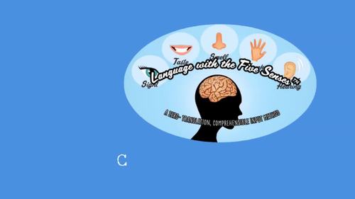 Les Couleurs et Les Animaux Mini Unit | TPT