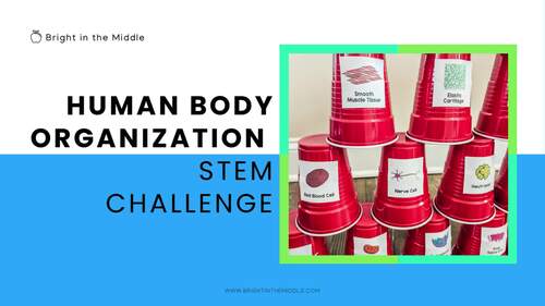 Body Organization STEM Challenge - Hierarchy Organization | TPT