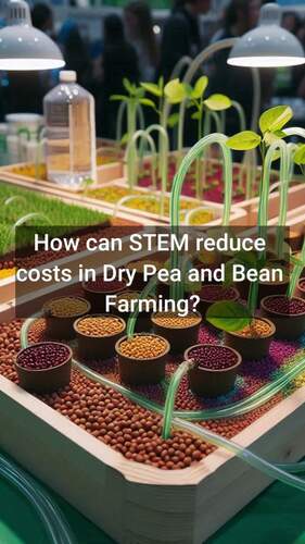 STEM Fair Projects in Agriculture |Legume Leverage | No Prep STEM ...