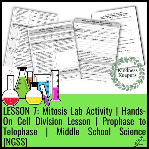 LESSON 7: Mitosis Lab Activity | Hands-On Cell Division Lesson | TPT