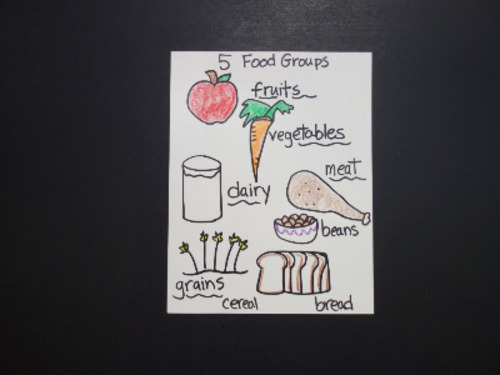 Let's Draw the 5 Basic Food Groups by Patty Fernandez Artist | TPT