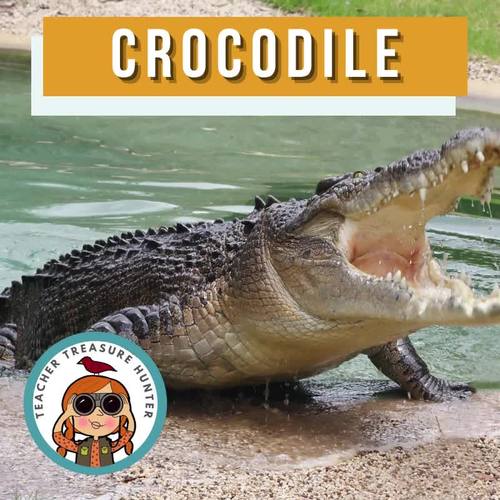 Crocodiles Research Information about African animals for reading and ...
