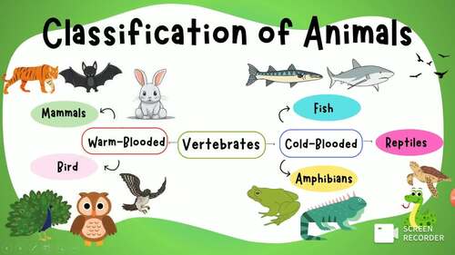 Easy Basic Animal Classification lesson and quiz PowerPoint for K, 1st ...