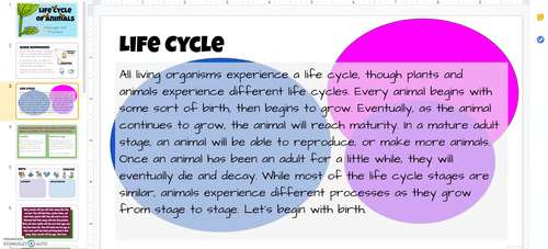 Animal Life Cycles, Metamorphosis (Google Slides Lesson) Distance, Virtual