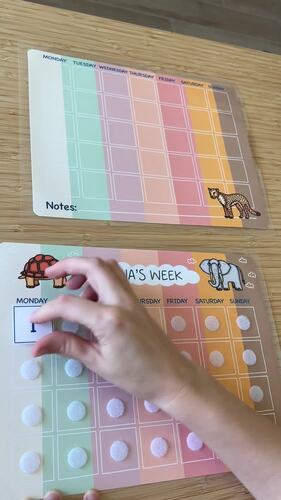 Daily schedule template editable, Chore chart, Visual schedule autism ...