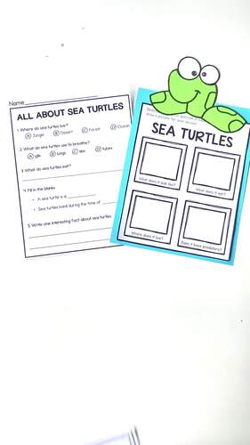 Sea Turtles | 5 Day Unit | Life Cycle | Reading Comprehension | Ocean ...