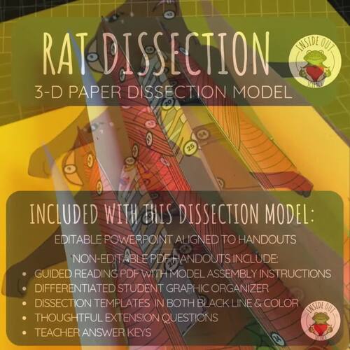 Rat Dissection Zoology | Biology 3-D Anatomy Paper Dissection Model ...