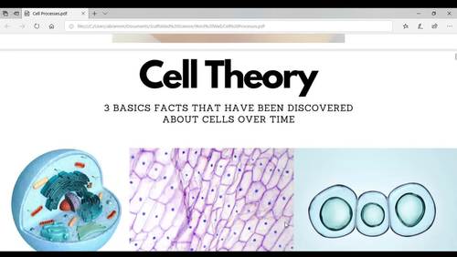 Cell Processes Word Wall/Verbal Visual Dictionary by Scaffolded Science