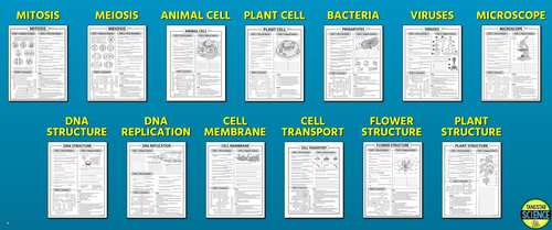 Biology Homework Review Worksheets/Test Prep BUNDLE | Print & Google Slides