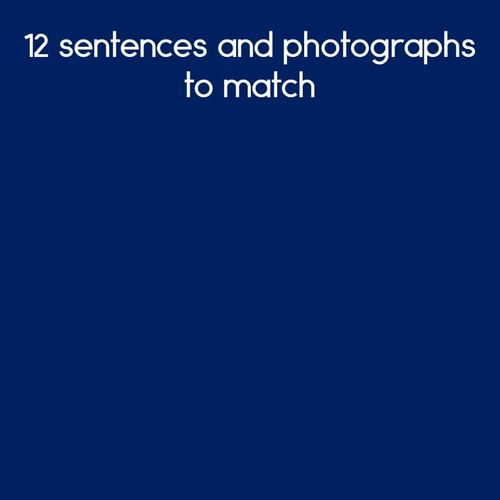 Australian Animals Photos Sentence Picture Match Reading Comprehension ...