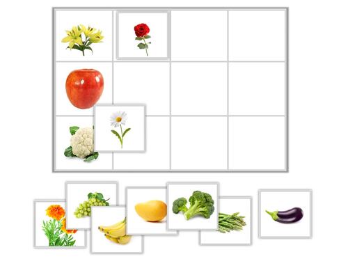 Category - Sorting Cards by My Montessori shop | TPT