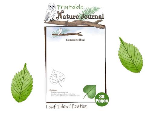 Nature Journal | Leaf Identification | Trail Map | Graphic Organizers