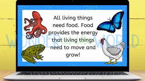 Food chains slide show and foldout activity science lesson | TPT