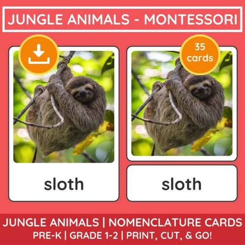35 Montessori Jungle Animal Flashcards 3-Part Nomenclature Cards PreK ...