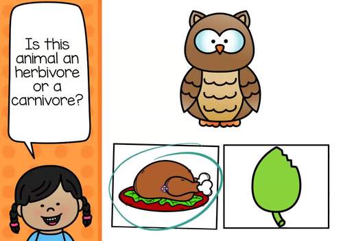 Boom Cards - Herbivore vs. Carnivore by Cori Blubaugh - Mrs B's Beehive