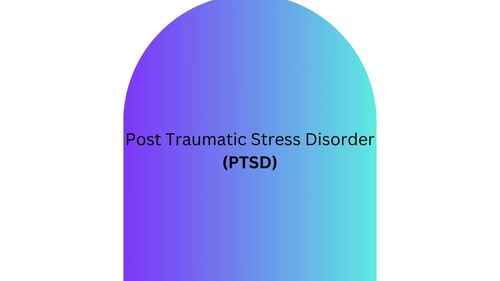 BUNDLE: Abnormal Psychology: Post Traumatic Stress Disorder (PTSD)