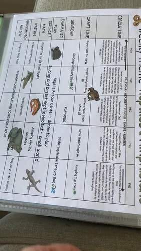 Reptiles and Amphibians Preschool Lesson Plan by Sonja Bilicic | TPT