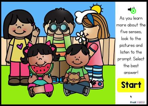 BOOM Cards: Five Senses by PreK Partner | TPT