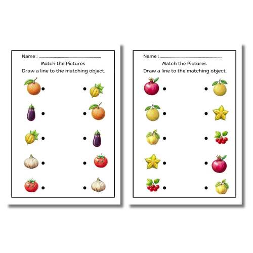Vegetable And Fruit Matching, Match the Picture, Kindergarten Preschool