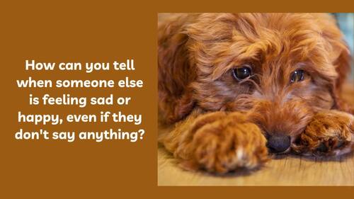 Building Empathy SEL | Perspective Taking & Kindness | Social Awareness ...