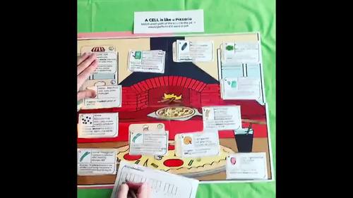 Plant & Animal Cells Organelles Activity Function Analogy Hands-On Practice