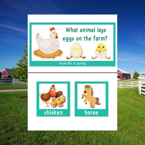 Question of the day preschool April, Morning meeting questions, Farm ...
