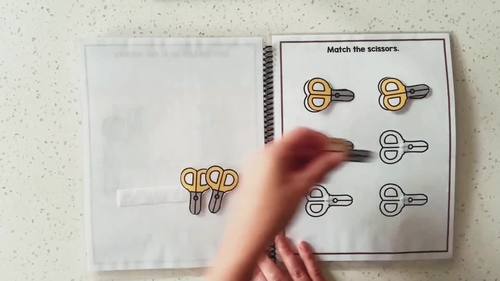 Errorless adapted Books | Winter, Spring, Summer, Fall | Special Ed Bundle