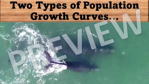 AP Environmental Science (APES): Population Growth Models COMPLETE ...