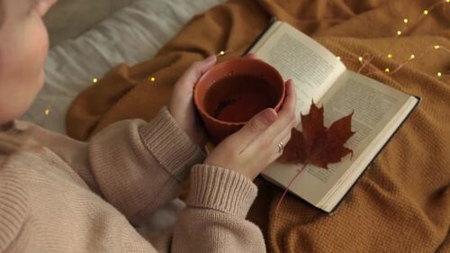 Finnish Wheel Of The Year Audiobook Mythology And Festivals by Fairychamber