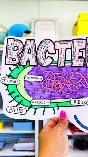Bacteria Prokaryotic Cell Diagram Labeling Project Activity, Coloring Page