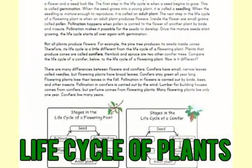 Life Science Reading Comprehension Passages: Life Cycles of Organisms ...