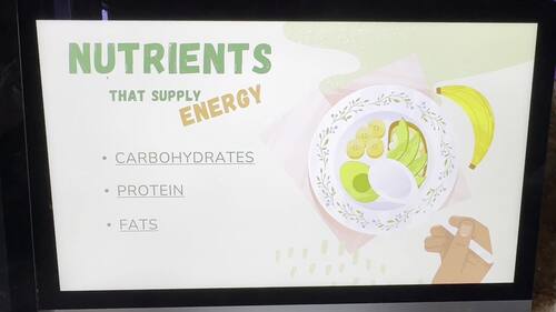 Health Education | Healthy Eating | Nutrition | Nutrients (Macro ...