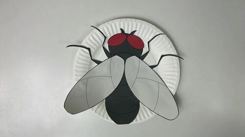 Fly Paper Plate Craft and Speech Therapy Lesson Plans with Visual Support