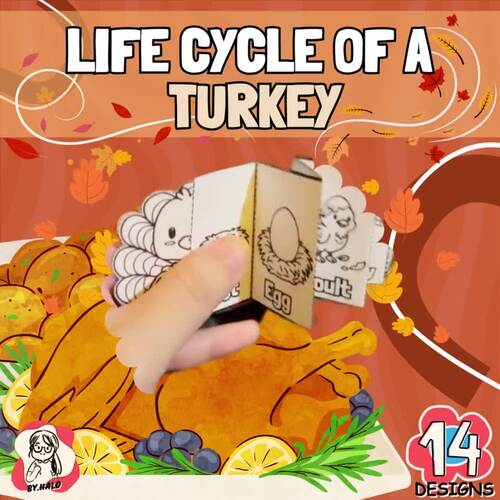 Life Cycle of a Turkey Foldable Craft | Thanksgiving Science Activity ...