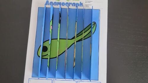 Life Cycle of a Frog (3 Image) Agamograph Craft | Coloring Display