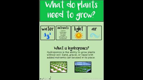 Ecosystems, Plants, and Food Webs by Teaching is for the Brave | TPT