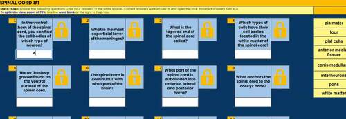 Nervous System Spinal Cord Digital and Print Activity-Nervous System ...