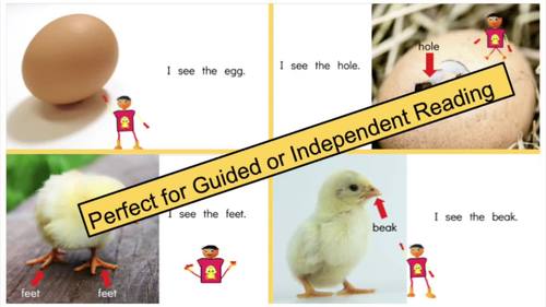 Chicks Guided Reading Level A Billy Beginning Reader and Writing Prompt