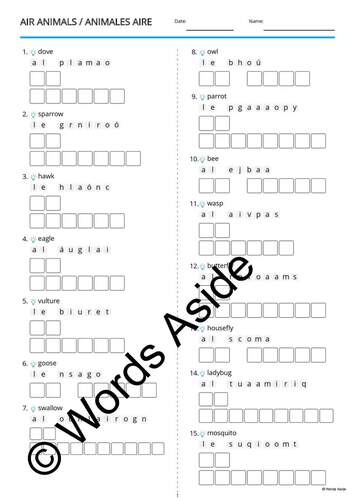 Spanish English Bilingual Vocabulary Cards Puzzles Games AIR ANIMALS