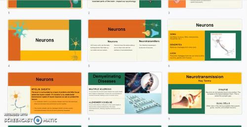 Biological Bases of Behavior Unit - Psychology Editable Google Slides!